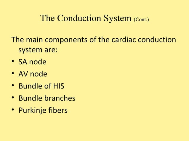 Basic ECG | PPT