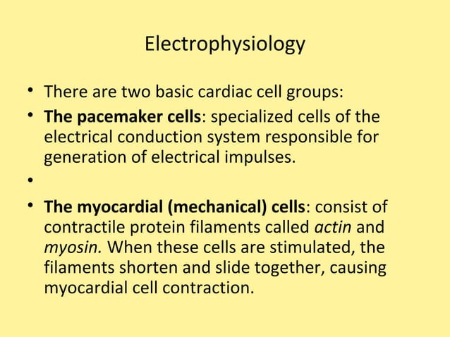 Basic ECG | PPT