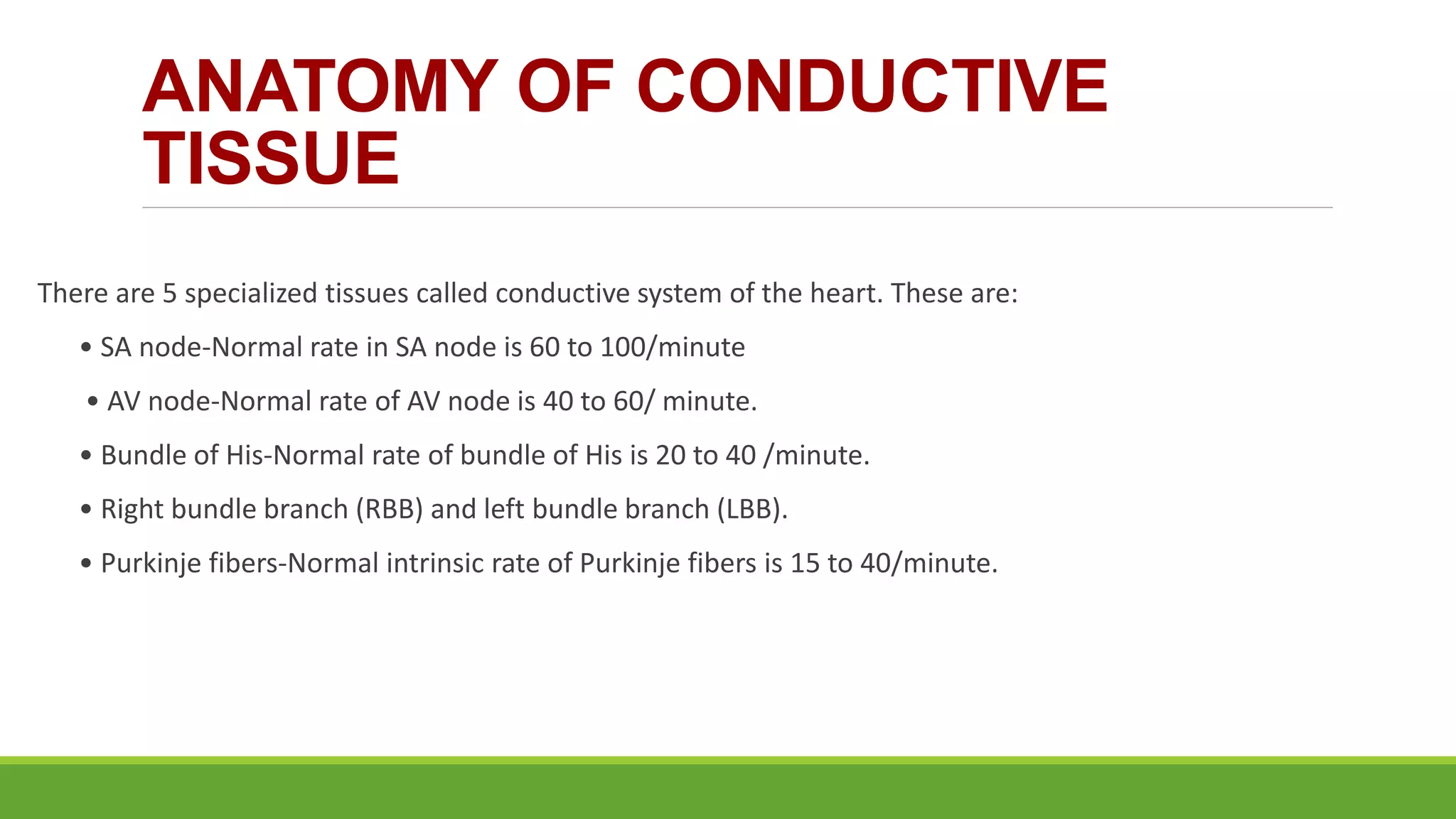 Basic ecg | PPTX