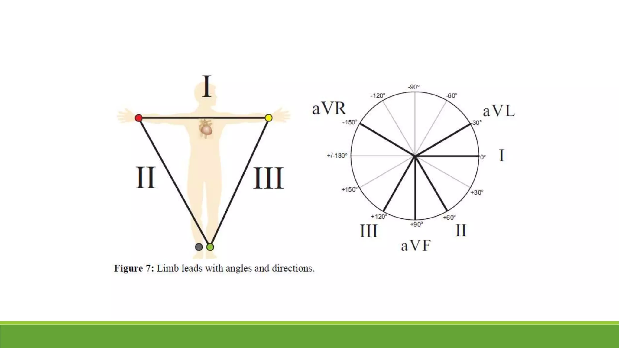 Basic ecg | PPTX