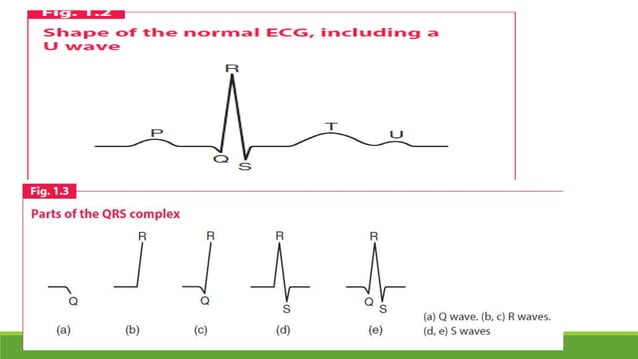 Basic ecg | PPTX