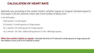 Basic ecg | PPTX