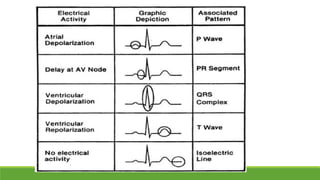 Basic ecg | PPTX
