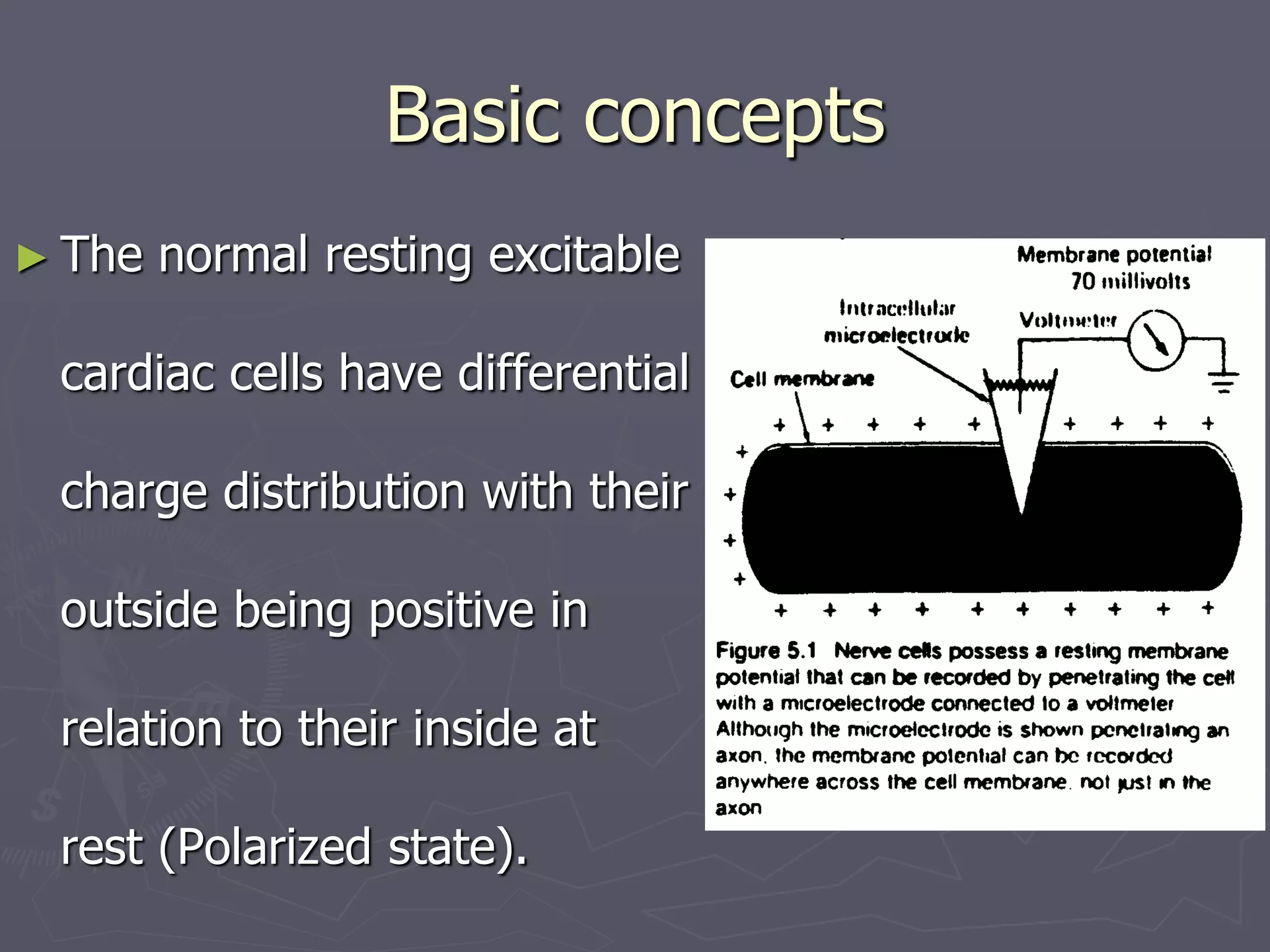 Basic Electrocardiography | PPT