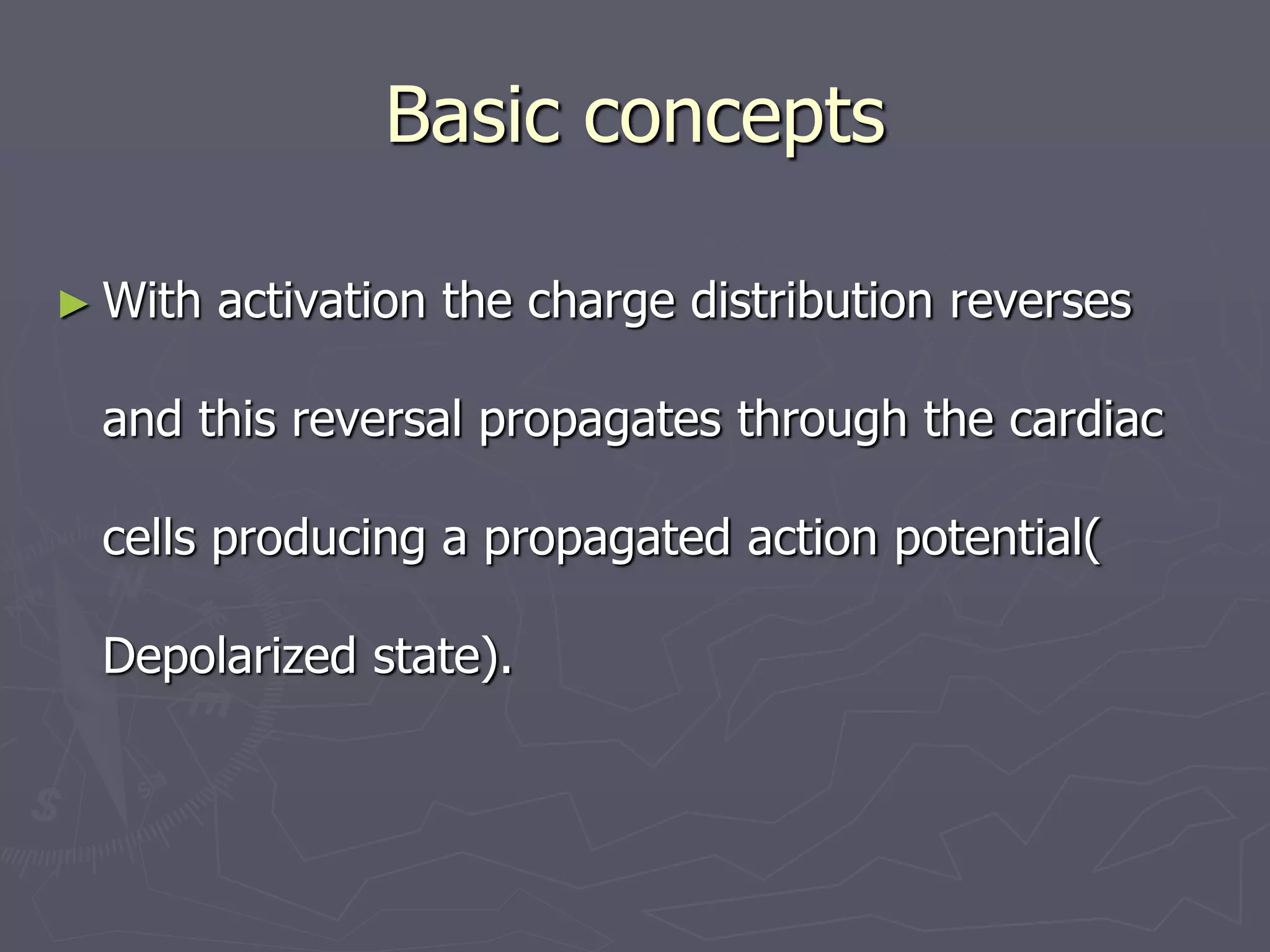 Basic Electrocardiography | PPT
