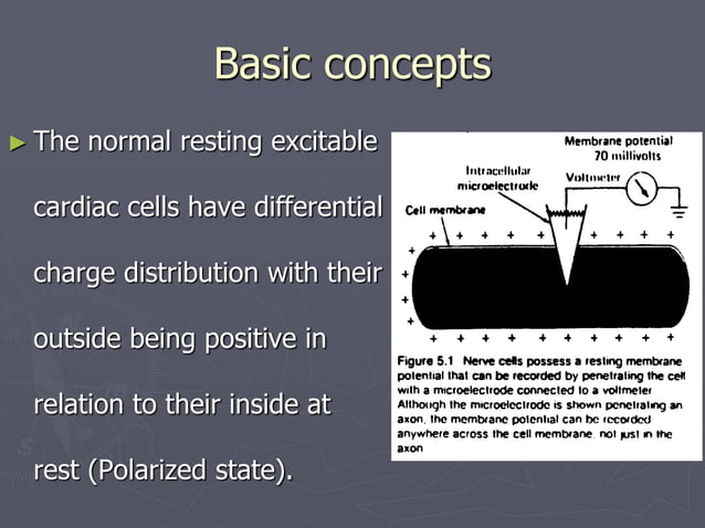 Basic Electrocardiography | PPT