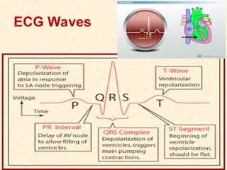 lecture on basic ecg for doctors and nurses | PPT