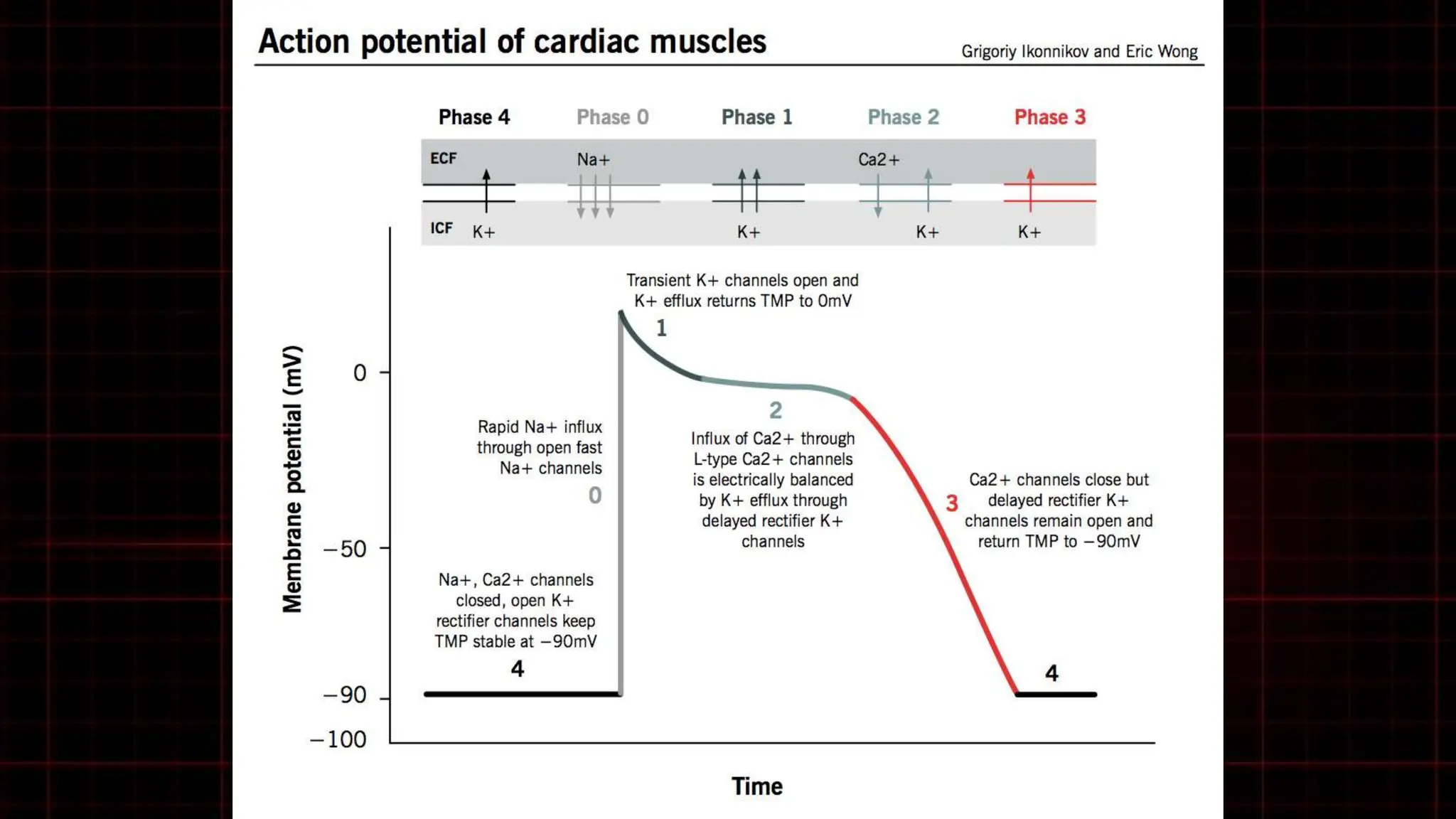 BASIC ECG INTERPRETATION.pptx