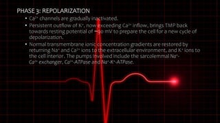 BASIC ECG INTERPRETATION.pptx