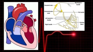 BASIC ECG INTERPRETATION.pptx