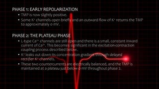 BASIC ECG INTERPRETATION.pptx
