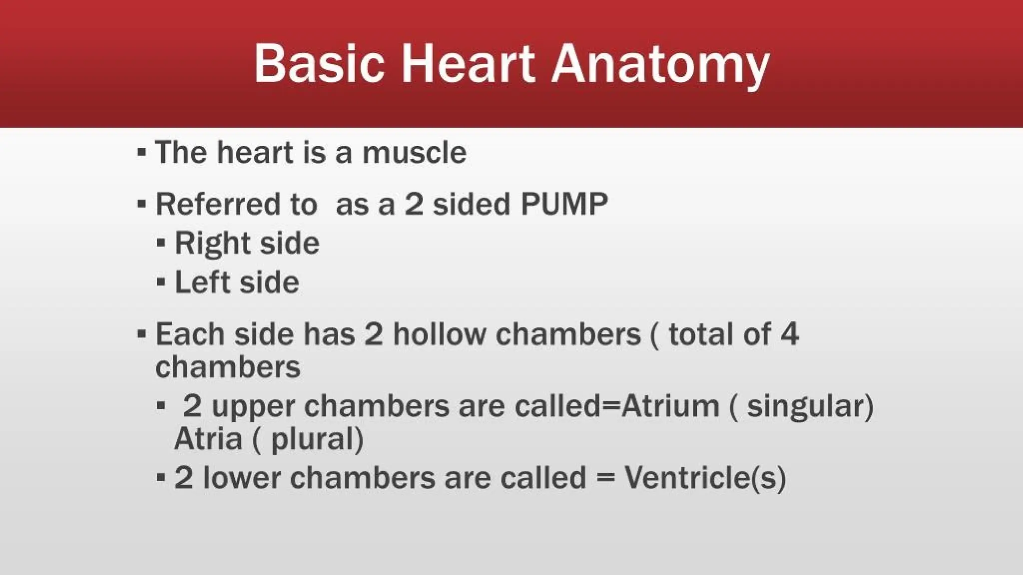 Basic Electrocardiography Interpretation.pdf