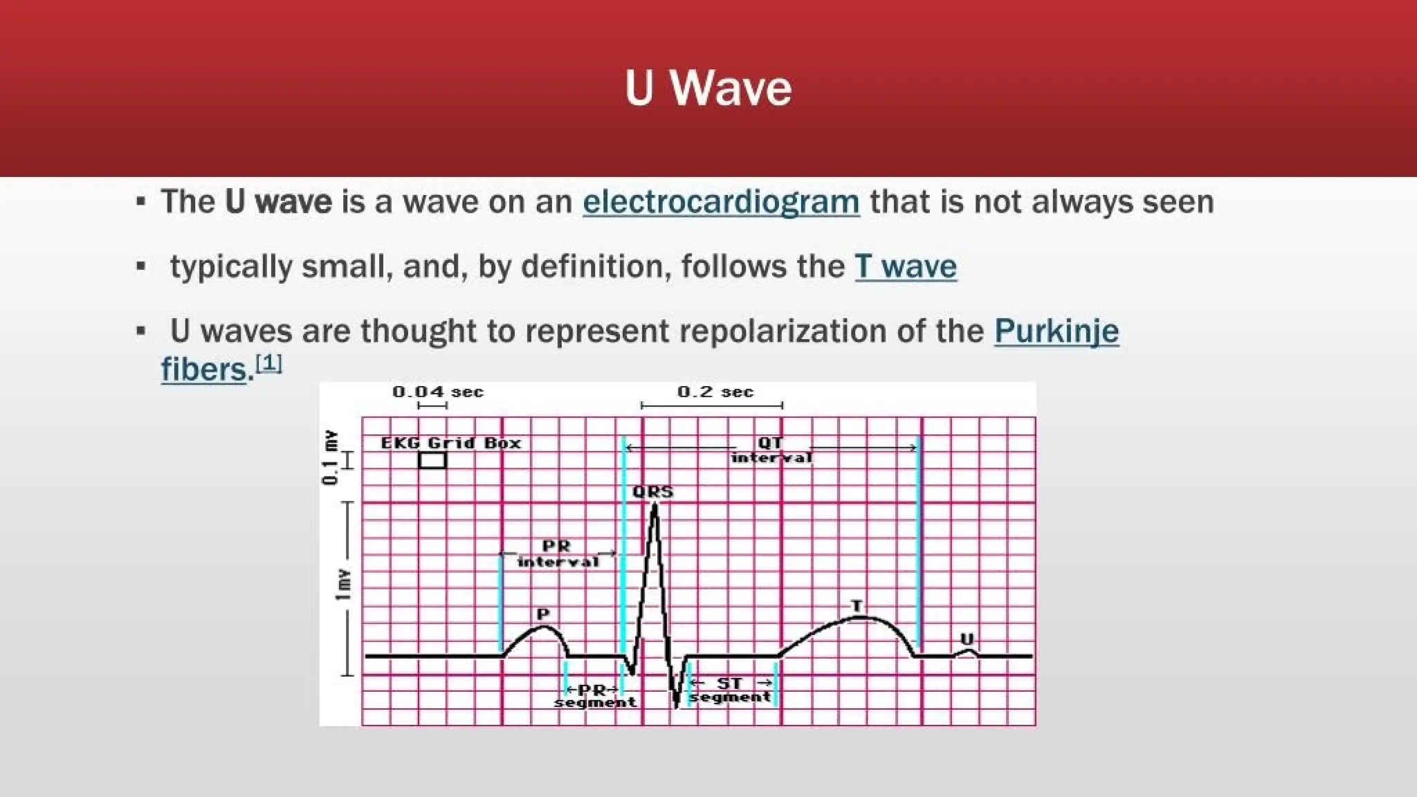 Basic Electrocardiography Interpretation.pdf