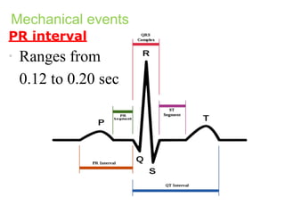 Basic ecg interpretations | PDF