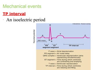 Basic ecg interpretations | PDF