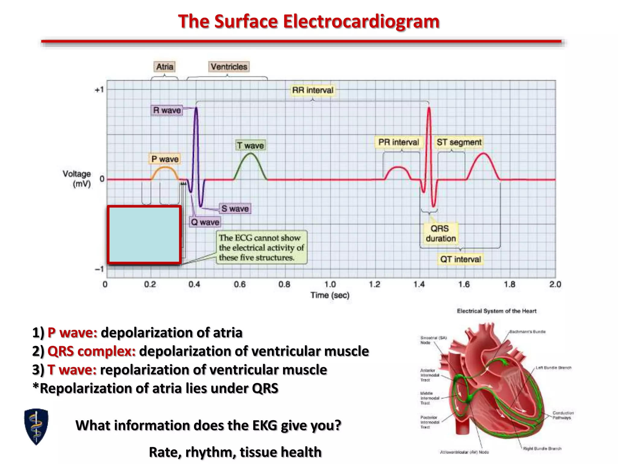 Basic ECG lecture 04 26 2018 | PPT