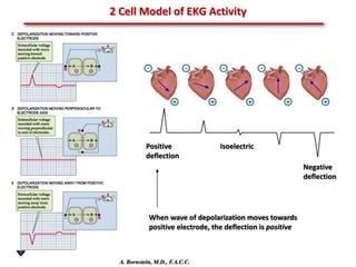 Basic ECG lecture 04 26 2018 | PPT