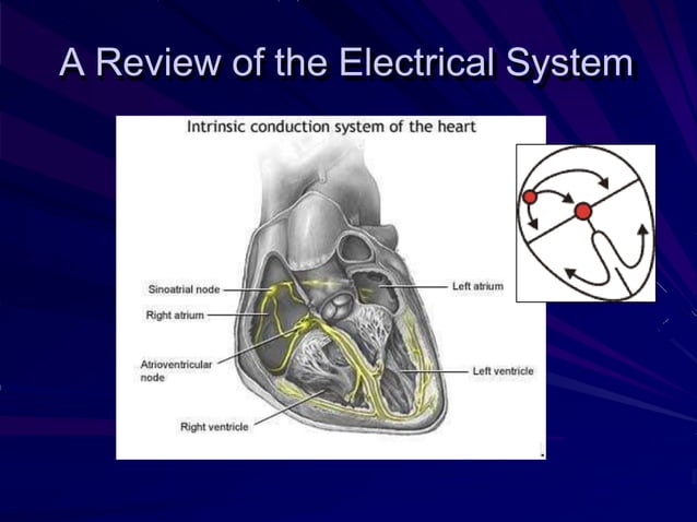 BASIC ECG RTHYM RAJI.pptx ACLS PREPARATION | PPT