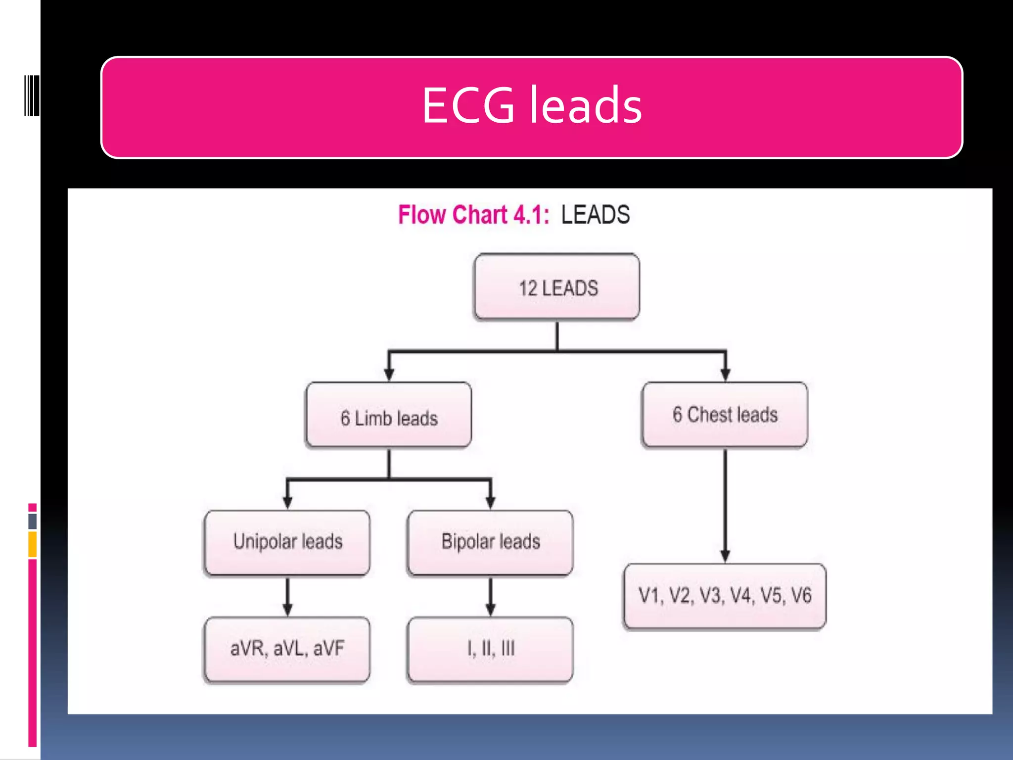 Basic ECG &rhythm interpretation | PDF