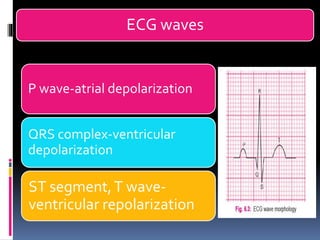 Basic ECG &rhythm interpretation | PDF