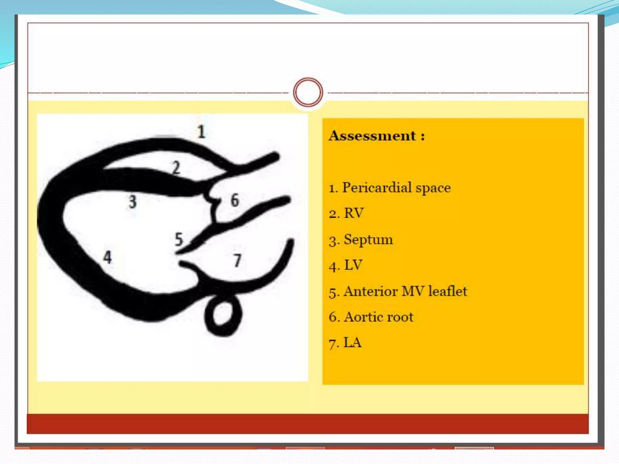 Basic echocardiography | PPTX