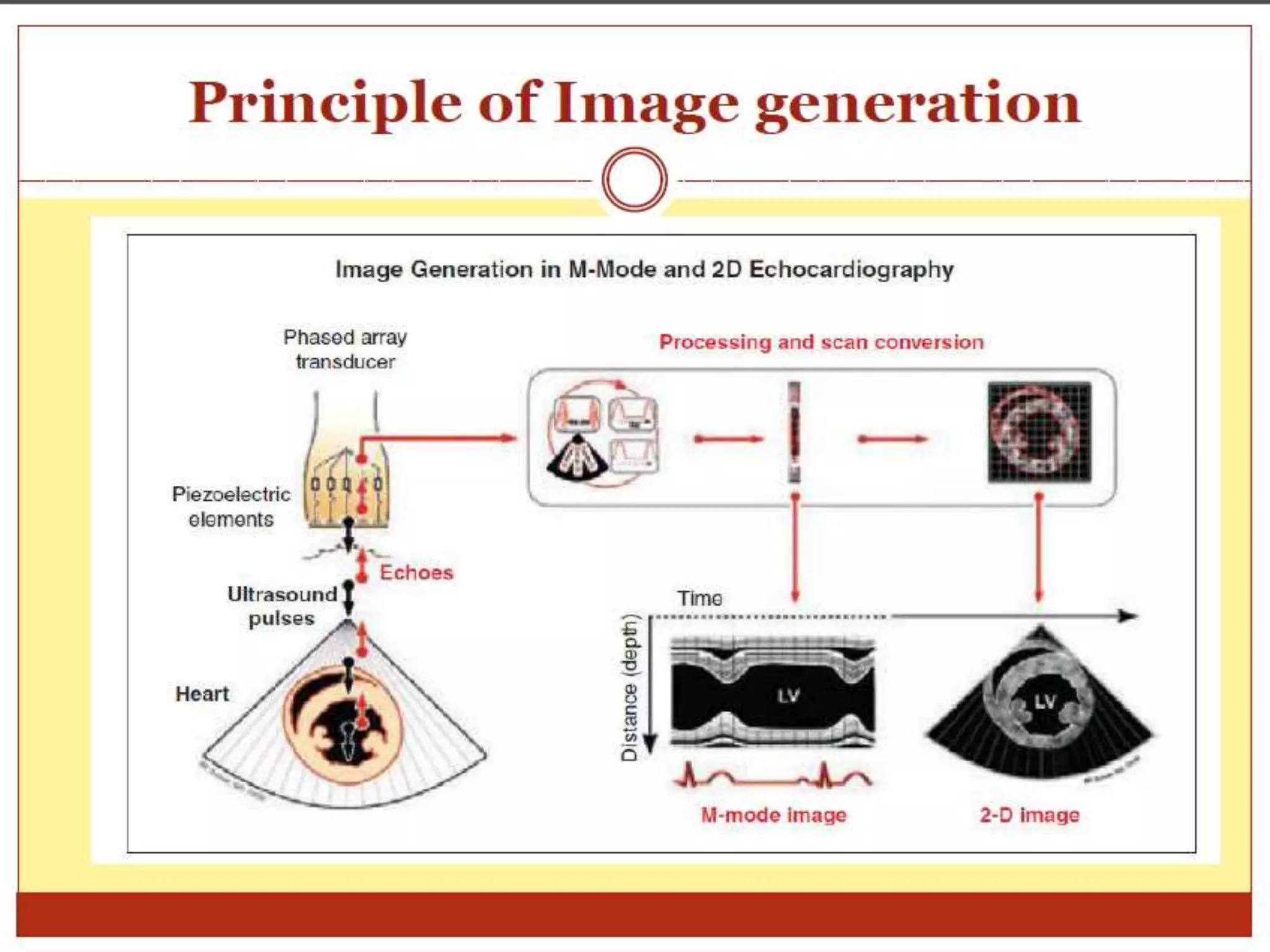 Basic echocardiography | PPTX