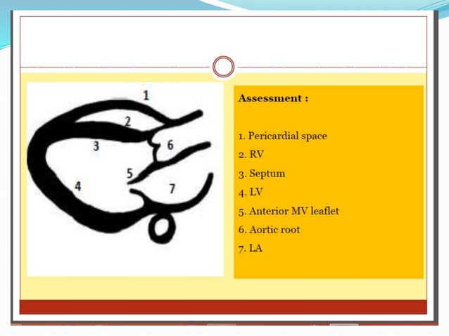 Basic echocardiography | PPTX