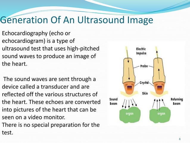 Basic echocardiography | PPTX