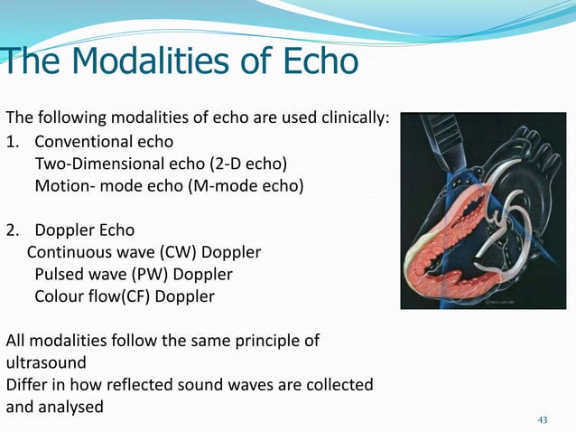 Basic echocardiography | PPTX