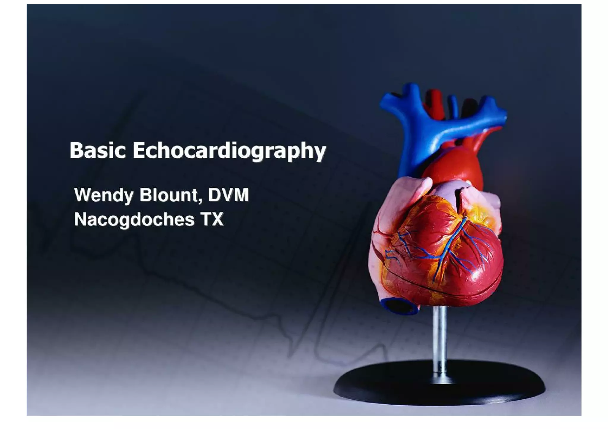 Basic Echocardiography | PDF