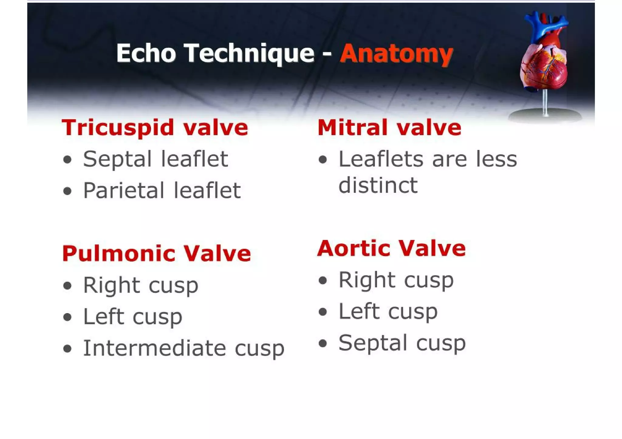 Basic Echocardiography | PDF