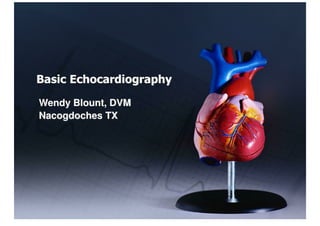 Basic Echocardiography | PDF