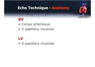 Basic Echocardiography | PDF