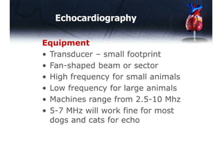 Basic Echocardiography | PDF