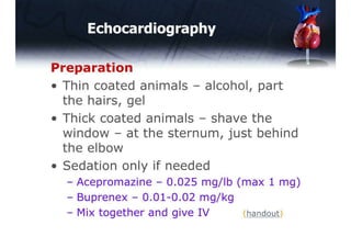 Basic Echocardiography | PPT