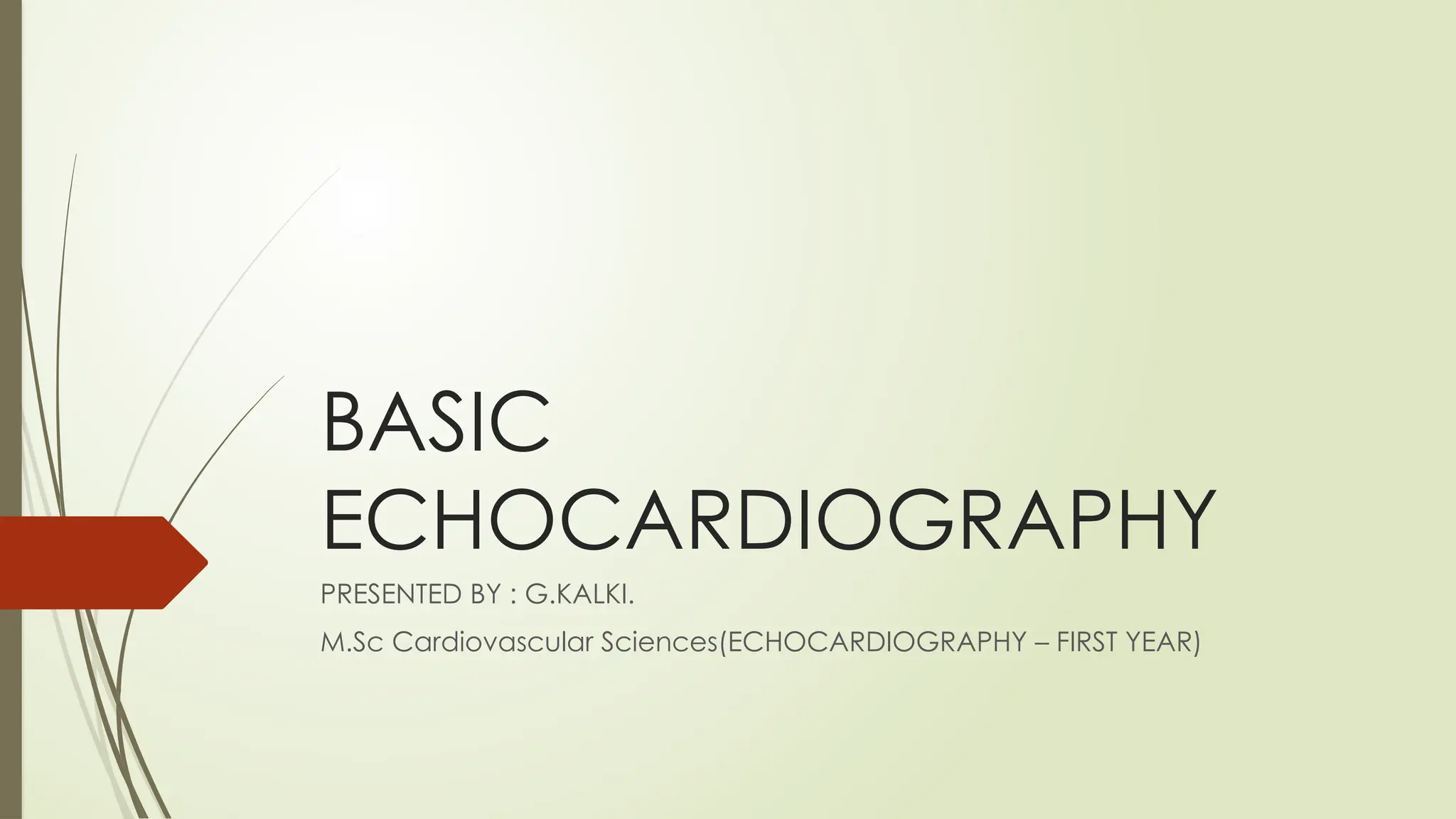 echocardiography basics for the beginers | PPTX