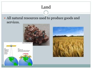 Basic Economic Concepts | PPTX