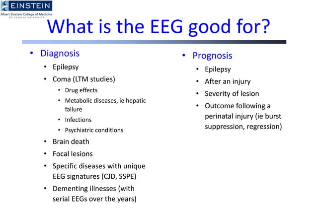 Basics of EEG - A brief review of the EEG.ppt