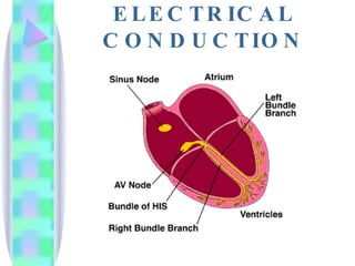 Basic Ekg Reviewr2 | PPT