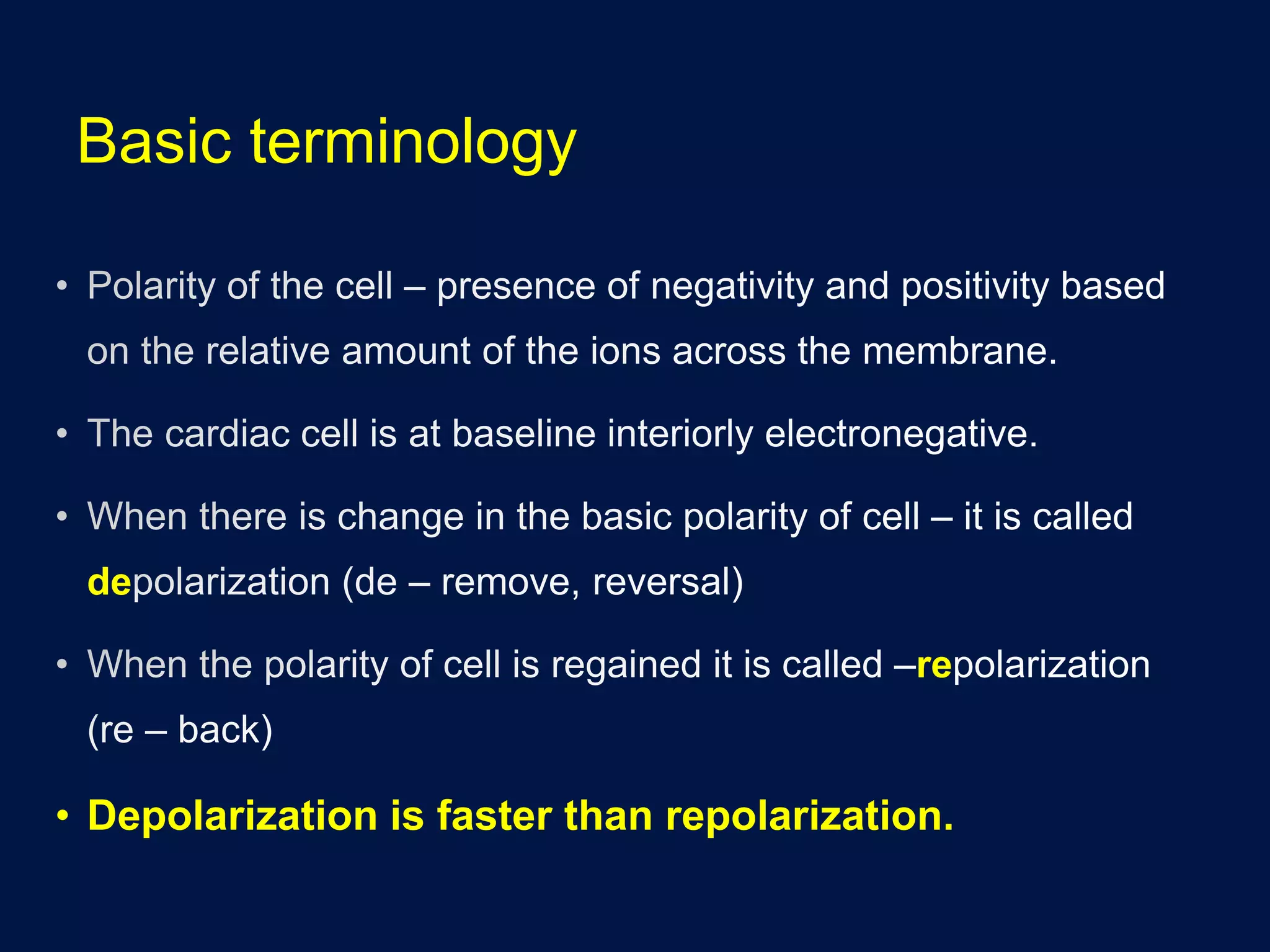 Basic electrocardiography and Beyond | PPT