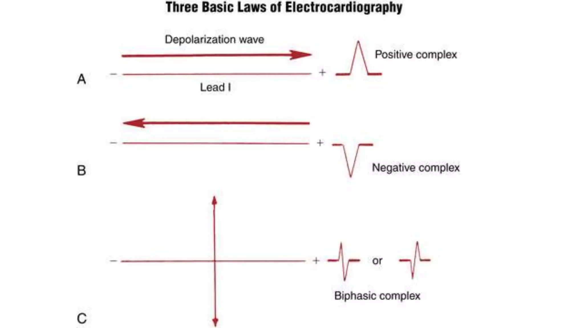 Basic Electrocardiography | PPTX | Heart and Cardiovascular Diseases ...
