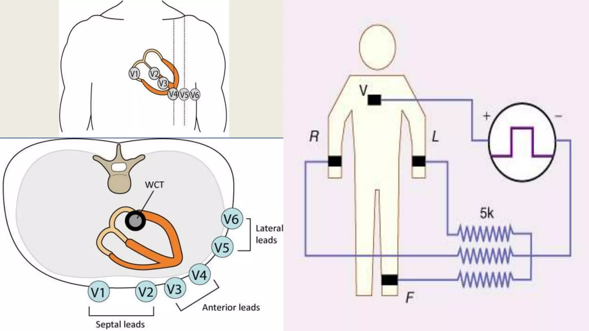 Basic Electrocardiography | PPTX