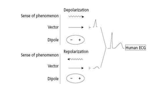 Basic Electrocardiography | PPTX