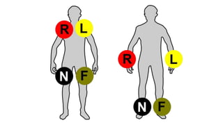 Basic Electrocardiography | PPTX