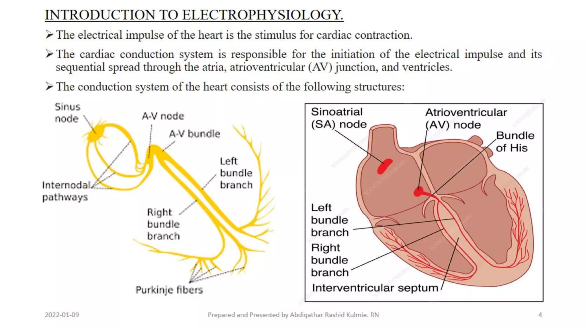 Basic electrophysiology, interpretation, cardiac monitoring and ...