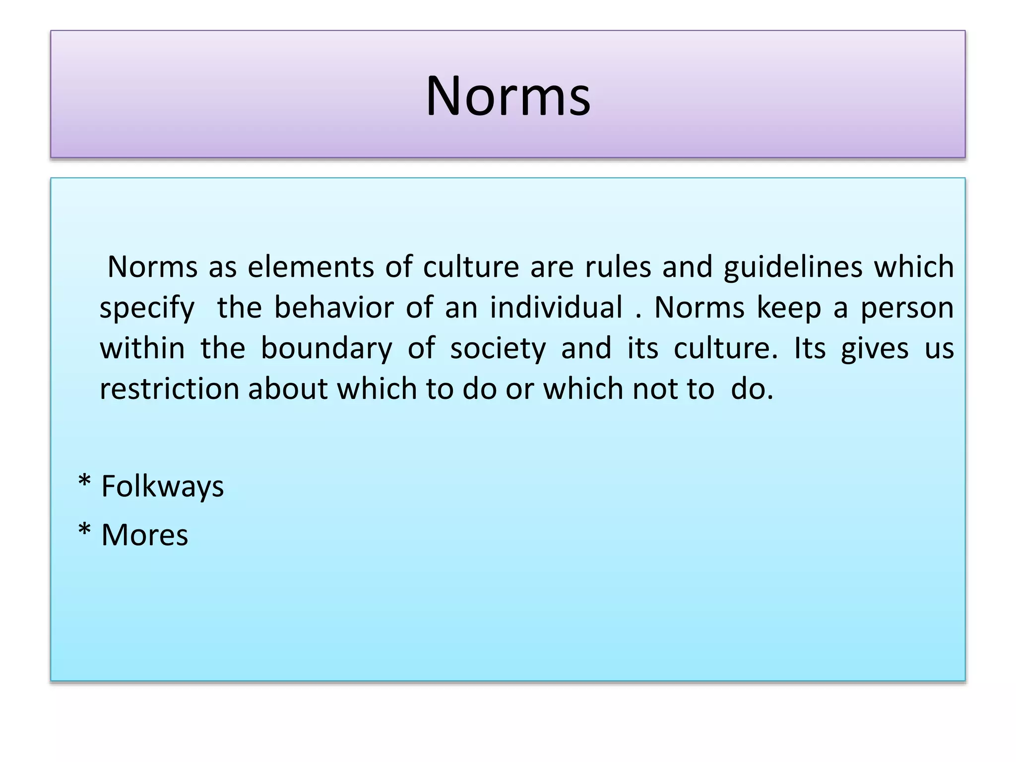 Basic element of culture | PPTX