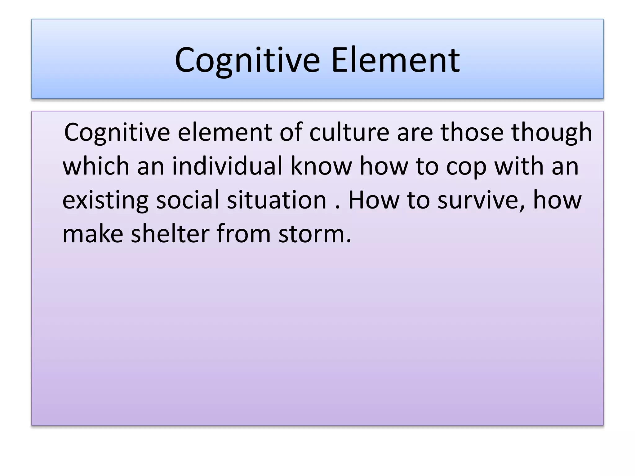 Basic element of culture | PPTX