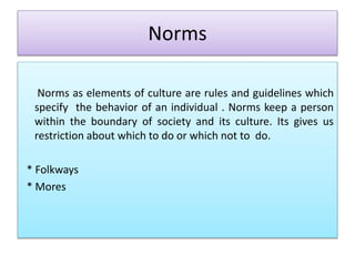 Basic element of culture | PPTX