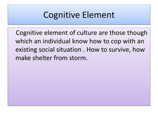 Basic element of culture | PPTX
