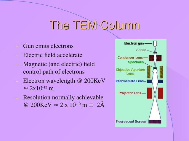 sem application and properties and tem applications and properties | PPT